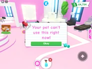Paint Sealer | Adopt Me! Wiki | Fandom