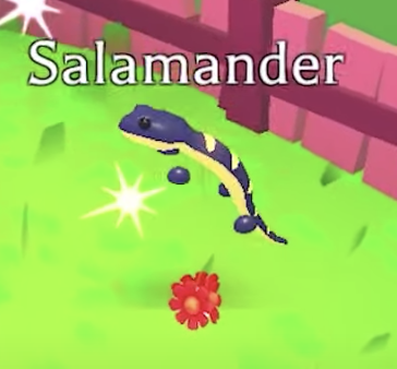 Salamander | Adopt Me! Wiki | Fandom