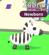 Zebra | Adopt Me! Wiki | Fandom