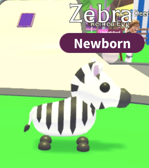 Zebra | Adopt Me! Wiki | Fandom