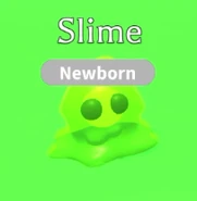 Slime | Adopt Me! Wiki | Fandom