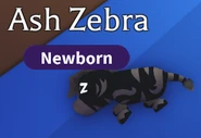 Ash Zebra | Adopt Me! Wiki | Fandom