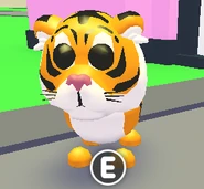 Lunar Tiger | Adopt Me! Wiki | Fandom