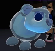 Frostbite Bear | Adopt Me! Wiki | Fandom