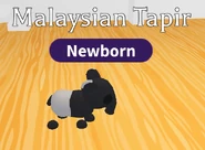 Malayan Tapir | Adopt Me! Wiki | Fandom