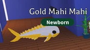 Gold Mahi Mahi | Adopt Me! Wiki | Fandom