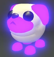 Snowball Pug | Adopt Me! Wiki | Fandom