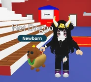 Hot Doggo | Adopt Me! Wiki | Fandom