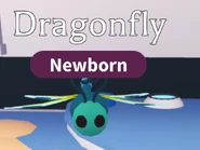 Dragonfly | Adopt Me! Wiki | Fandom