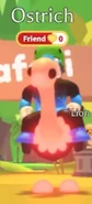 Ostrich | Adopt Me! Wiki | Fandom