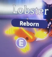 Lobster | Adopt Me! Wiki | Fandom