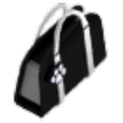 Black Purse | Adopt Me! Wiki | Fandom