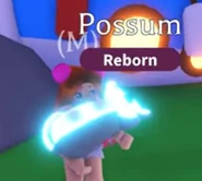 Possum | Adopt Me! Wiki | Fandom