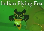 Indian Flying Fox | Adopt Me! Wiki | Fandom