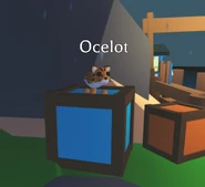 Ocelot | Adopt Me! Wiki | Fandom