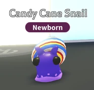 Candy Cane Snail | Adopt Me! Wiki | Fandom