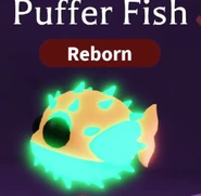 Puffer Fish | Adopt Me! Wiki | Fandom