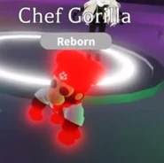 Chef Gorilla (Pet) | Adopt Me! Wiki | Fandom