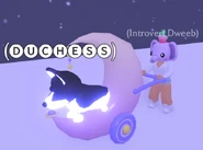 Magic Moon Stroller | Adopt Me! Wiki | Fandom