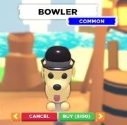 Bowler | Adopt Me! Wiki | Fandom