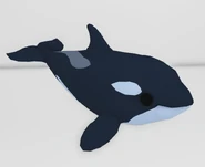 Orca | Adopt Me! Wiki | Fandom
