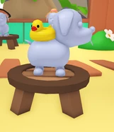 Duck Floatie | Adopt Me! Wiki | Fandom