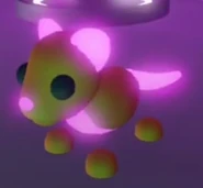 Fossa | Adopt Me! Wiki | Fandom