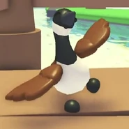 Canadian Goose | Adopt Me! Wiki | Fandom