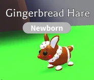 Gingerbread Hare | Adopt Me! Wiki | Fandom