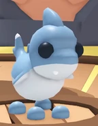 Shark Puppy | Adopt Me! Wiki | Fandom