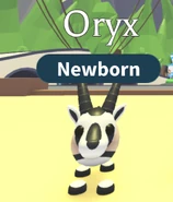 Oryx | Adopt Me! Wiki | Fandom