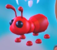 Ant | Adopt Me! Wiki | Fandom