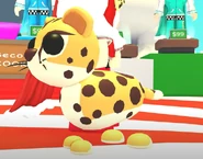 Cheetah | Adopt Me! Wiki | Fandom