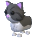 Gato persa | Adopt Me! Wiki | Fandom