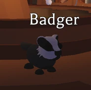 Badger | Adopt Me! Wiki | Fandom