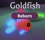 Goldfish | Adopt Me! Wiki | Fandom