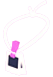 Instant Photo Necklace | Adopt Me! Wiki | Fandom