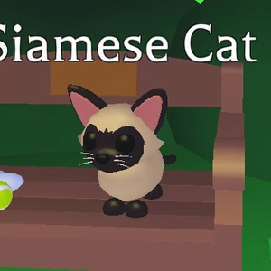 Discuss Everything About Adopt Me! Wiki | Fandom