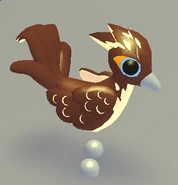 Roadrunner | Adopt Me! Wiki | Fandom