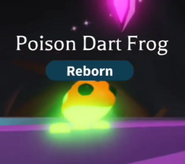 Poison Dart Frog | Adopt Me! Wiki | Fandom