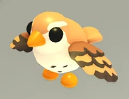 Wren | Adopt Me! Wiki | Fandom