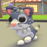 Alley Cat | Adopt Me! Wiki | Fandom