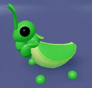 Praying Mantis (Pet) | Adopt Me! Wiki | Fandom