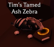 Ash Zebra | Adopt Me! Wiki | Fandom