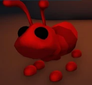 Ant | Adopt Me! Wiki | Fandom