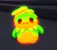 Kappakid | Adopt Me! Wiki | Fandom