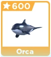 Orca | Adopt Me! Wiki | Fandom