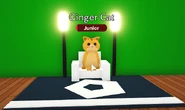 Ginger Cat | Adopt Me! Wiki | Fandom