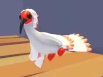 Ibis | Adopt Me! Wiki | Fandom