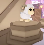 Ram | Adopt Me! Wiki | Fandom